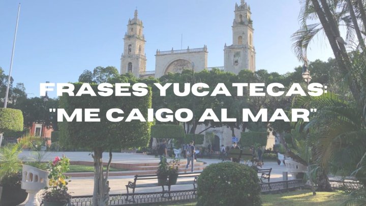 Frases básicas en Maya y Español | TOP Yucatán